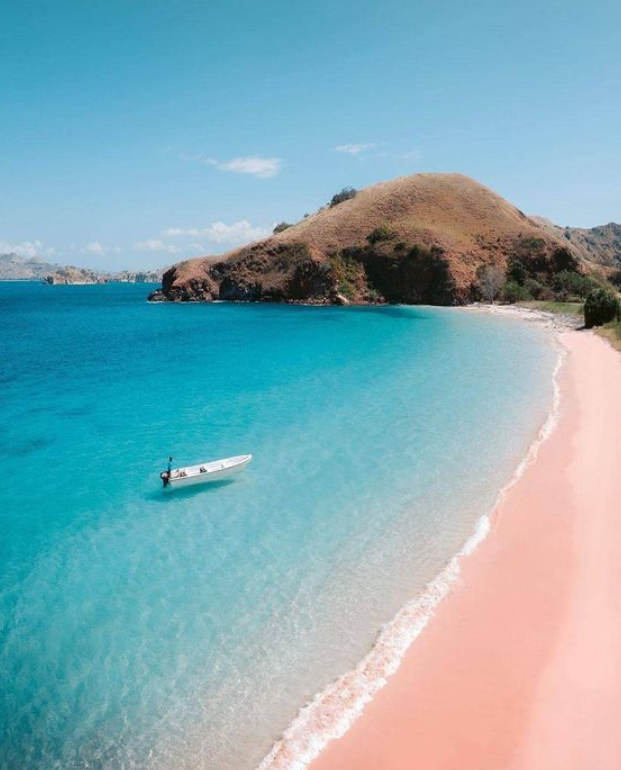 Paket Tour Labuan Bajo Terbaik & Update 2024 | Article on Pandooin