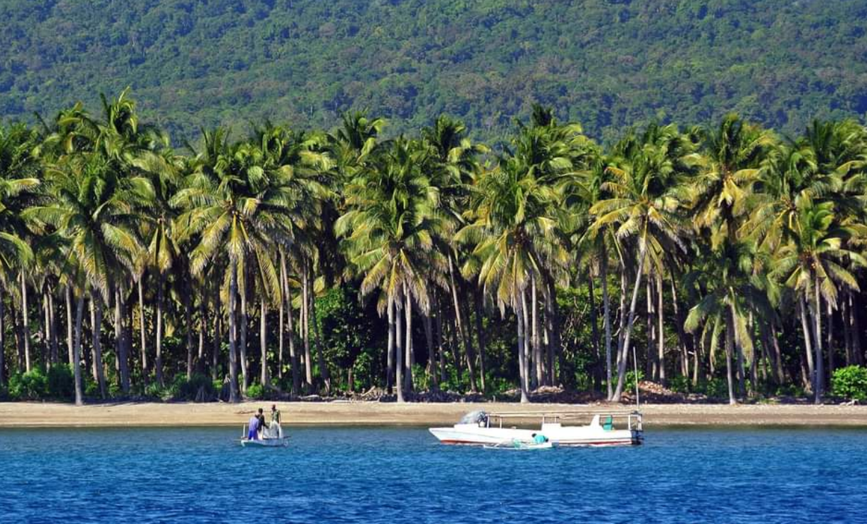 Eksplorasi Pulau Moyo Sumbawa: Hidden Paradise Lady Diana | Temukan ...