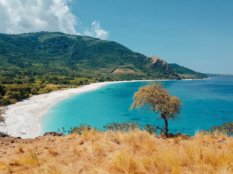 Top 10 Places for Your Alor Getaway, Find a Dugong! | Article on Pandooin