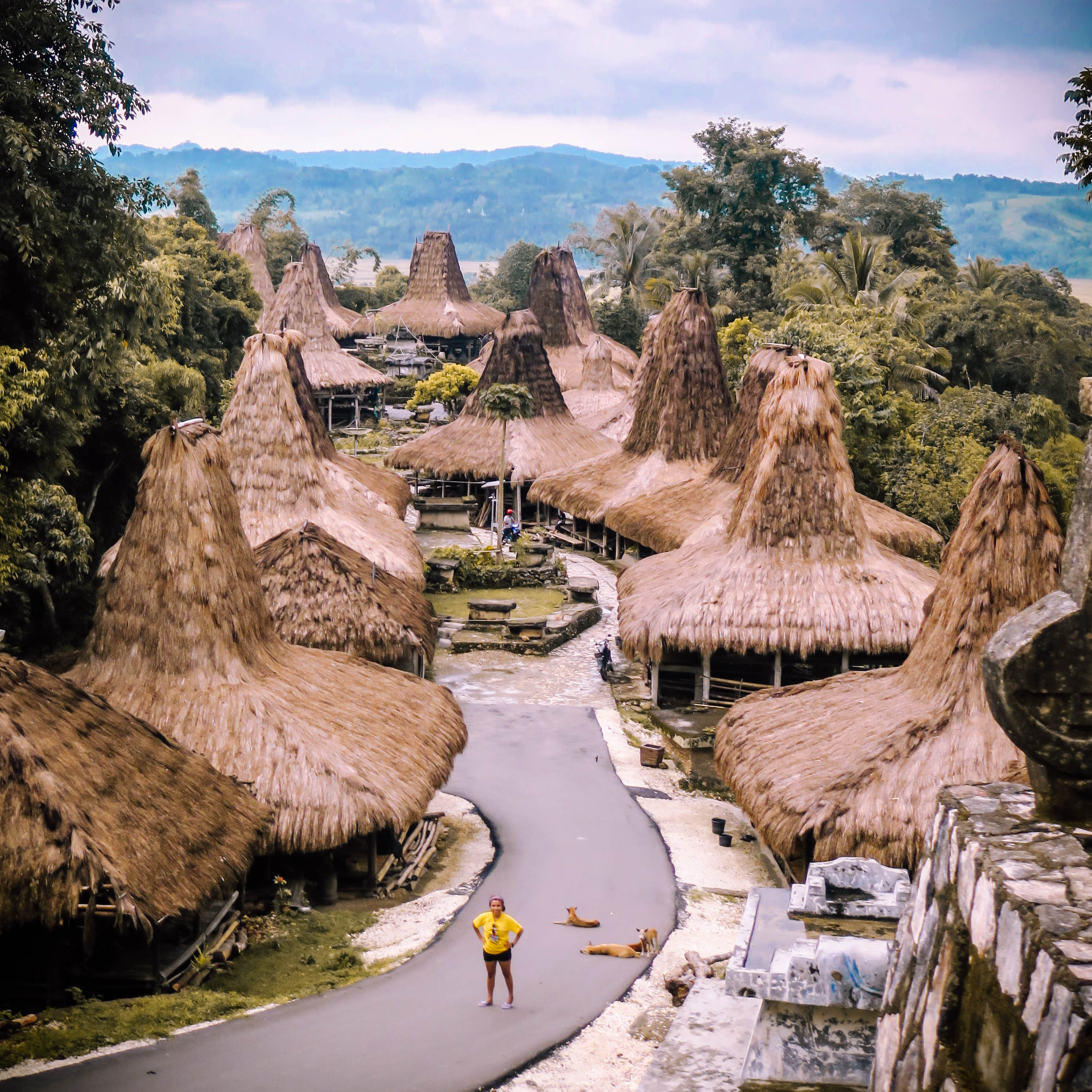 Exploring Sumba Island: Choosing Between Private or Open Trips for Your ...